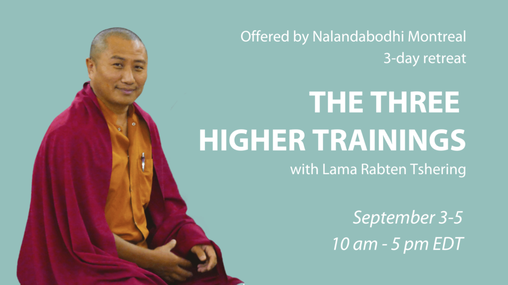 Be Wise, Go Kind, Live Fully. - Nalandabodhi International